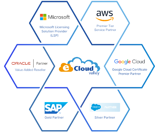 Partnership Relationships | eCloudvalley